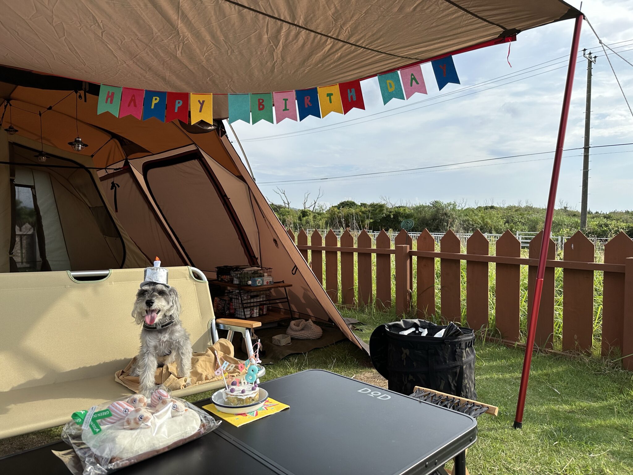 犬とRECAMP館山 犬とキャンプ 犬と千葉 犬とテント